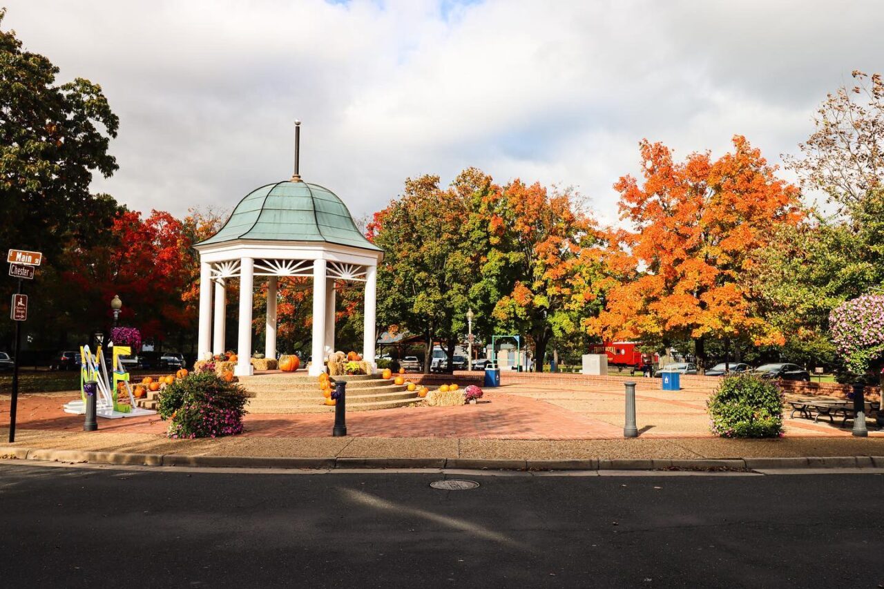 Award Winning Restaurant & Brewery in Front Royal, Virginia - Vibrissa Beer