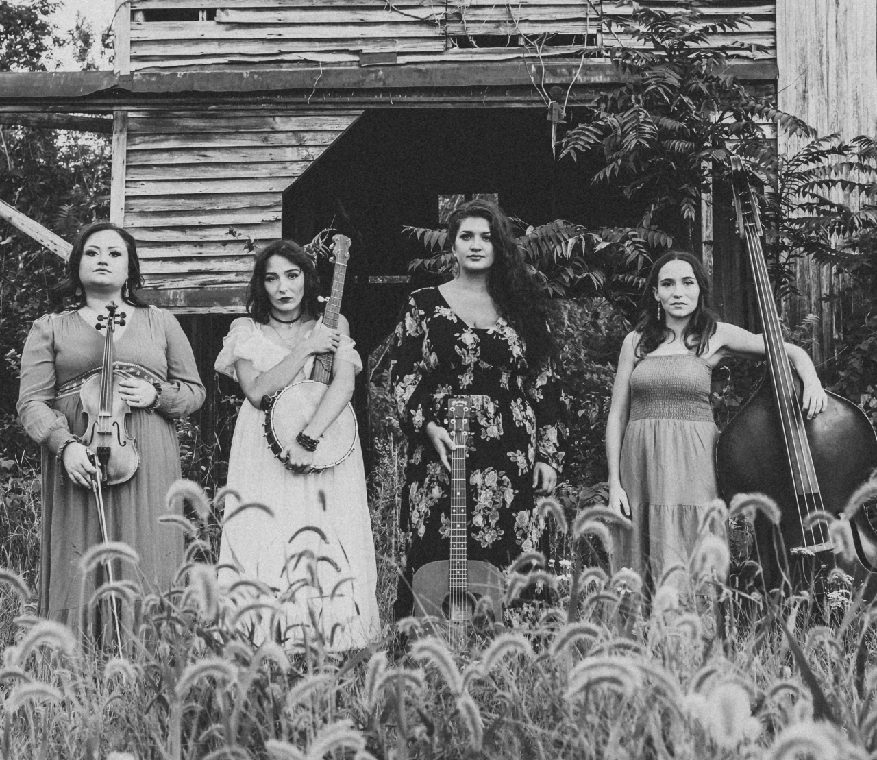 Live Music Winchester - The Fly Birds - Vibrissa Beer